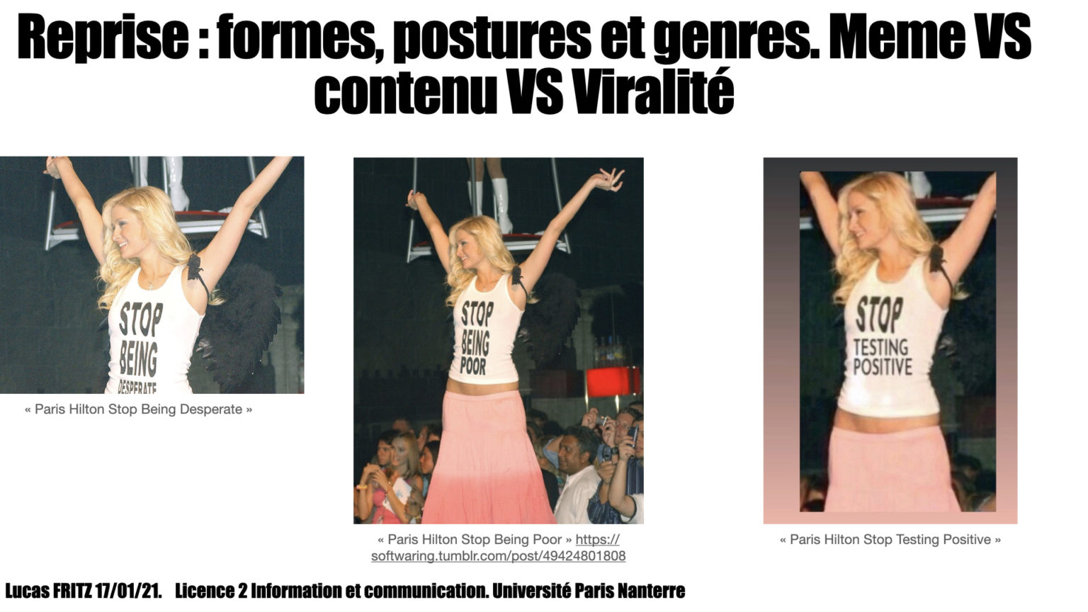 I. Ethnographie et netnographie : les memes et les netizens. - Lucas ...